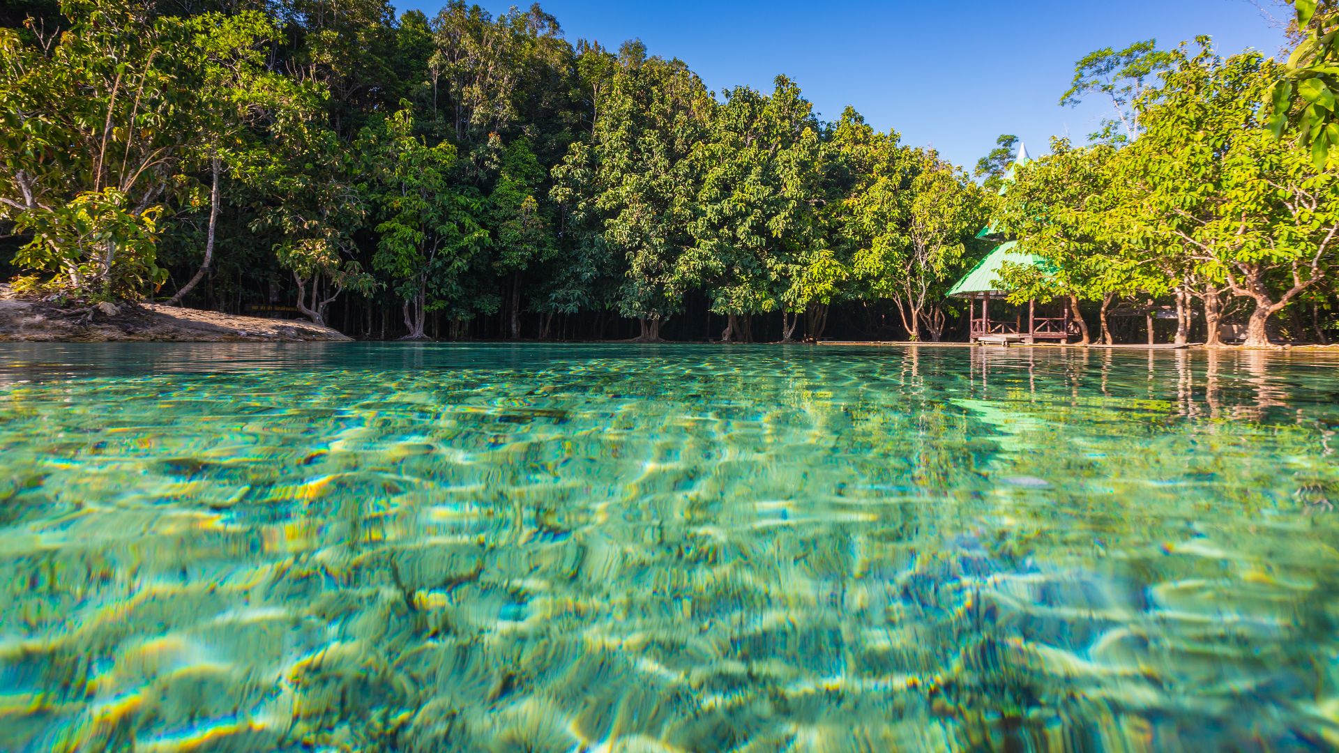 Krabi Emerald Pool + Hot Springs Excursion Price: ฿849 - Big Tour Viago