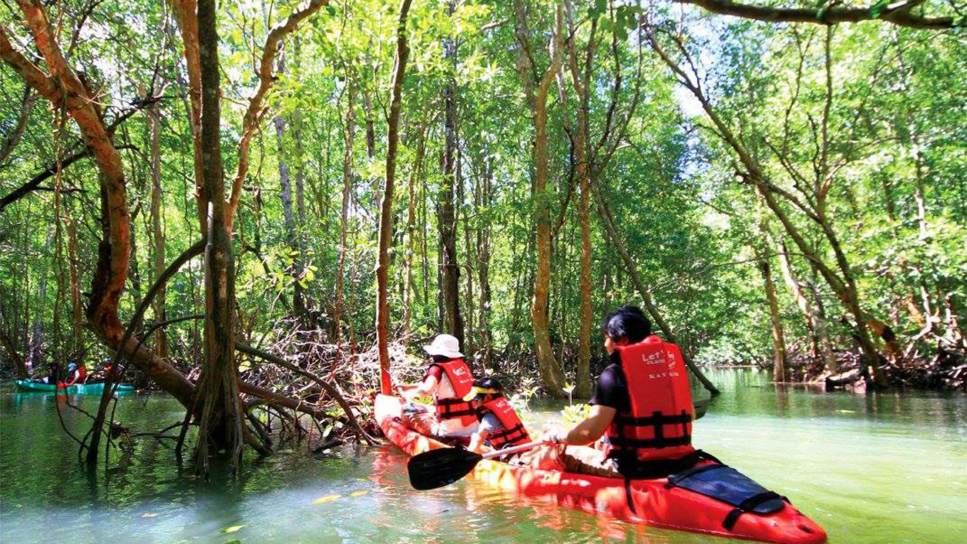 Krabi Mangrove Kayaking Ao Nang Excursion Price: ฿449 - Big Tour Viago