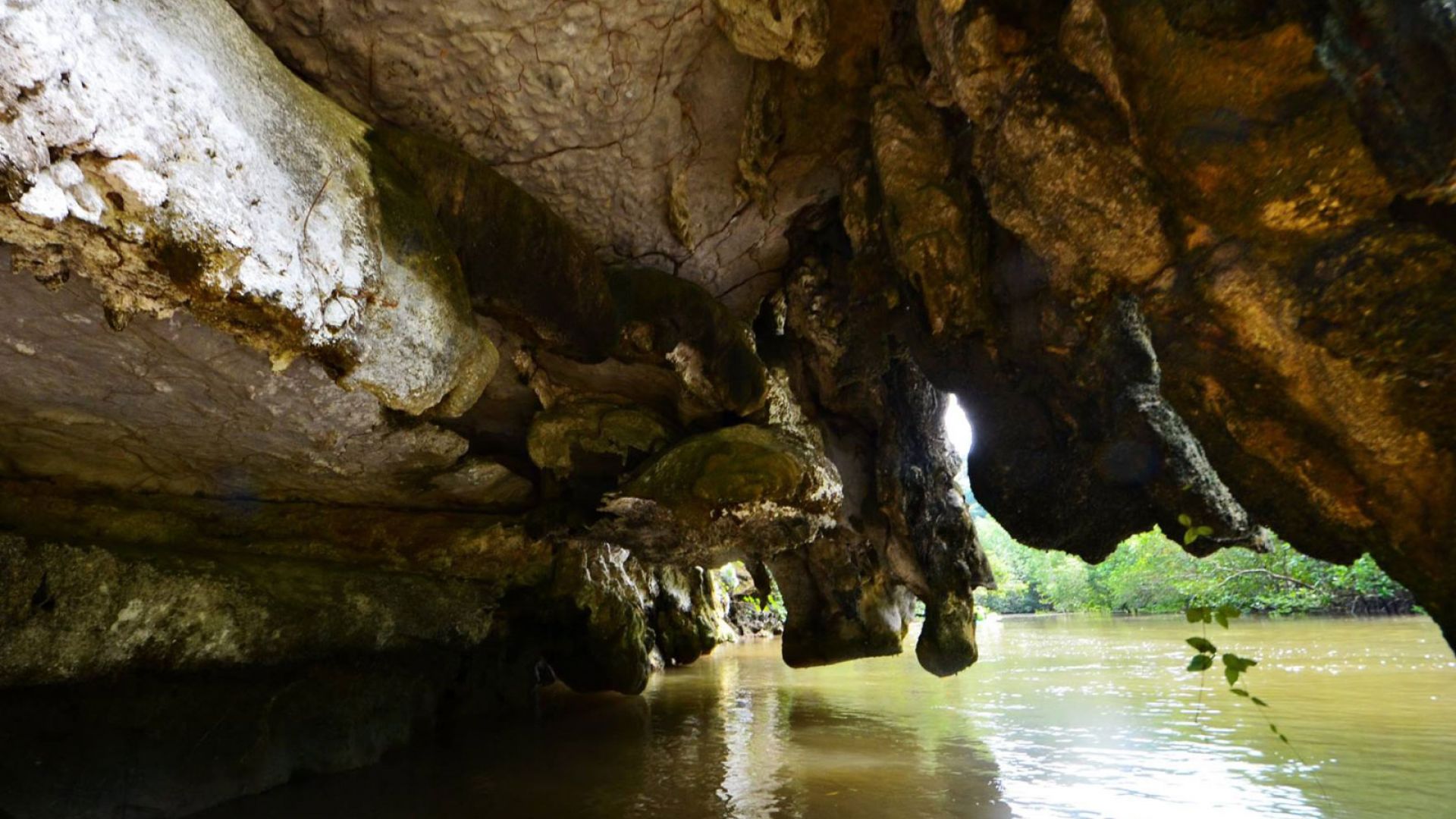 Krabi Kayaking Bor Thor Caves Excursion Price: ฿1399 - Big Tour Viago
