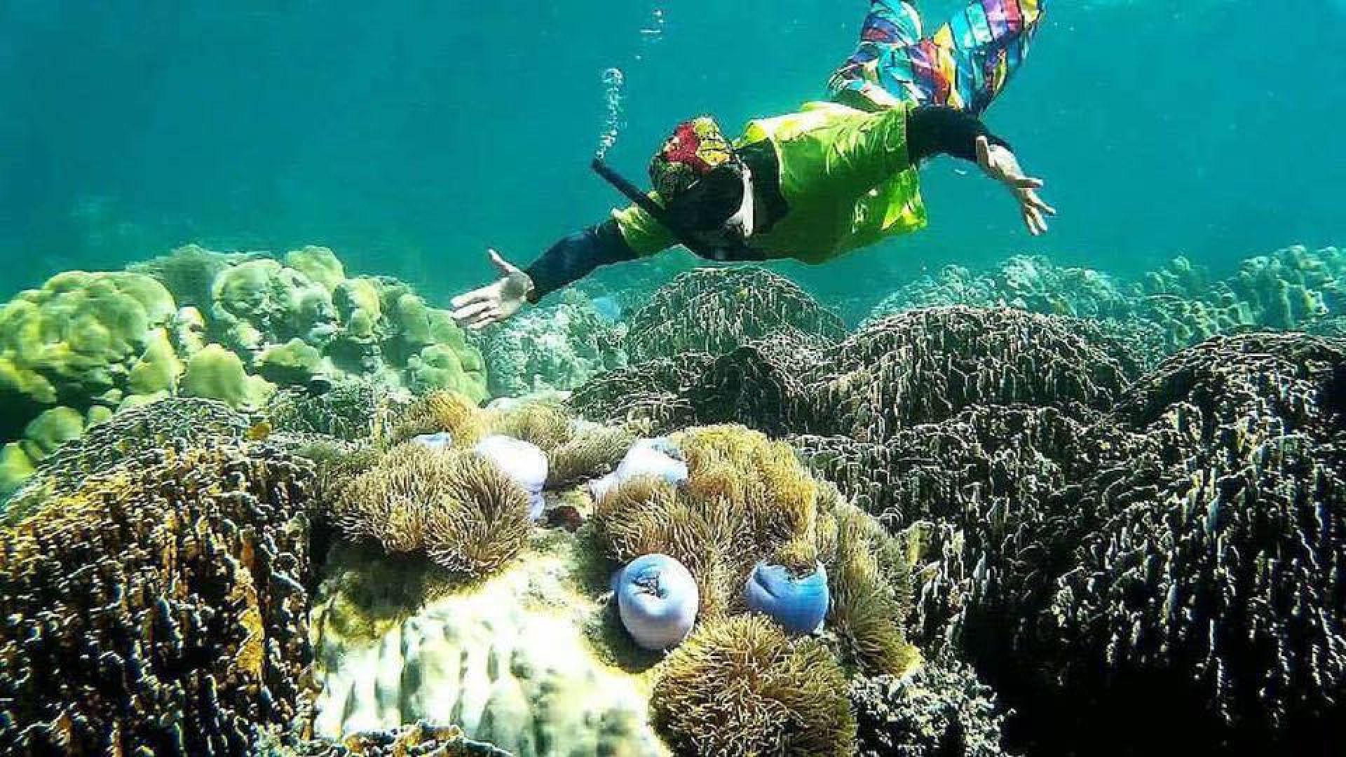 Koh Rok Full Day Tour - Big Tour Viago